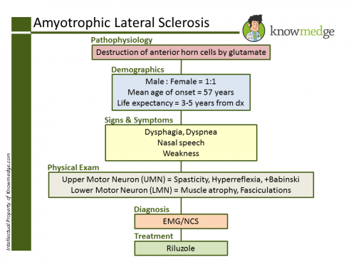Als Upper And Lower Motor Neuron Signs - Infoupdate.org Als Upper And Lower Motor Neuron Signs - Infoupdate.org