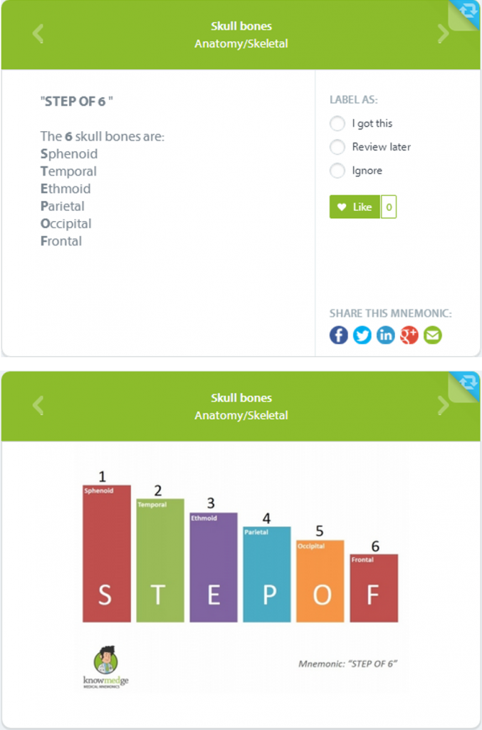 Medical Mnemonics: Skull Bones – Step of 6 : USMLE / Internal Medicine ...