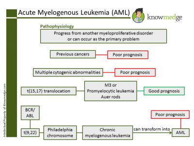 Craig Sager Passes Away at 65: A Closer Look at Acute Myeloid Leukemia ...