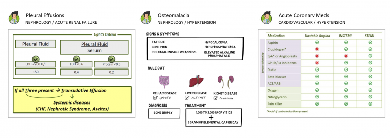 Introducing Knowmedge Visuals Platform : USMLE / Internal Medicine ABIM ...